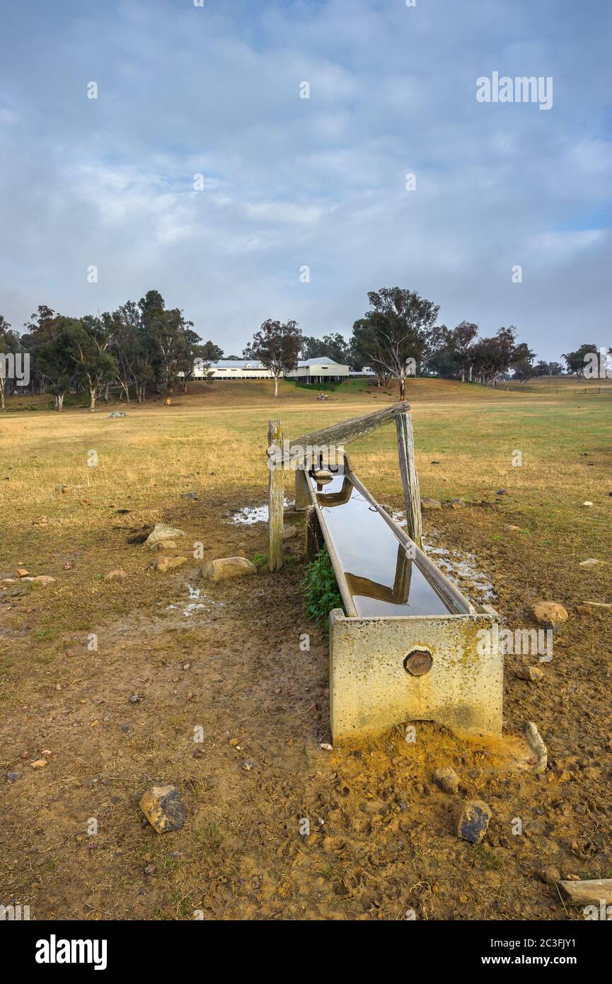 An empty grazing paddock with foreground drinking trough and background ...
