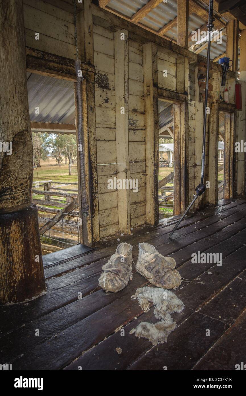 Shearers stand hi-res stock photography and images - Alamy