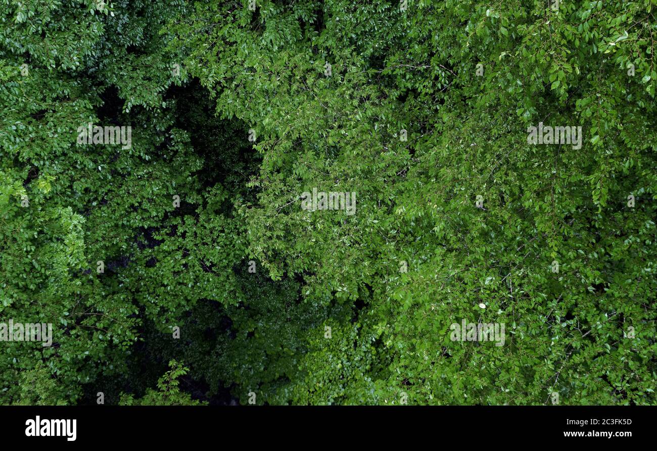 Looking down from a high bridge crossing a lush valley Stock Photo - Alamy