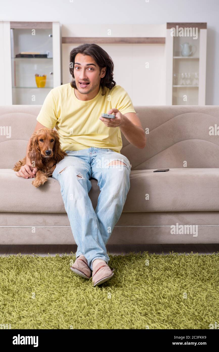 Child and cocker spaniel hi-res stock photography and images - Alamy