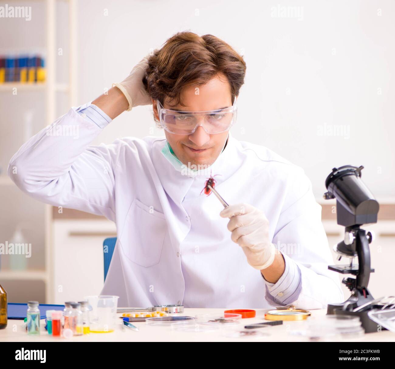 Male entomologist working in the lab on new species Stock Photo - Alamy