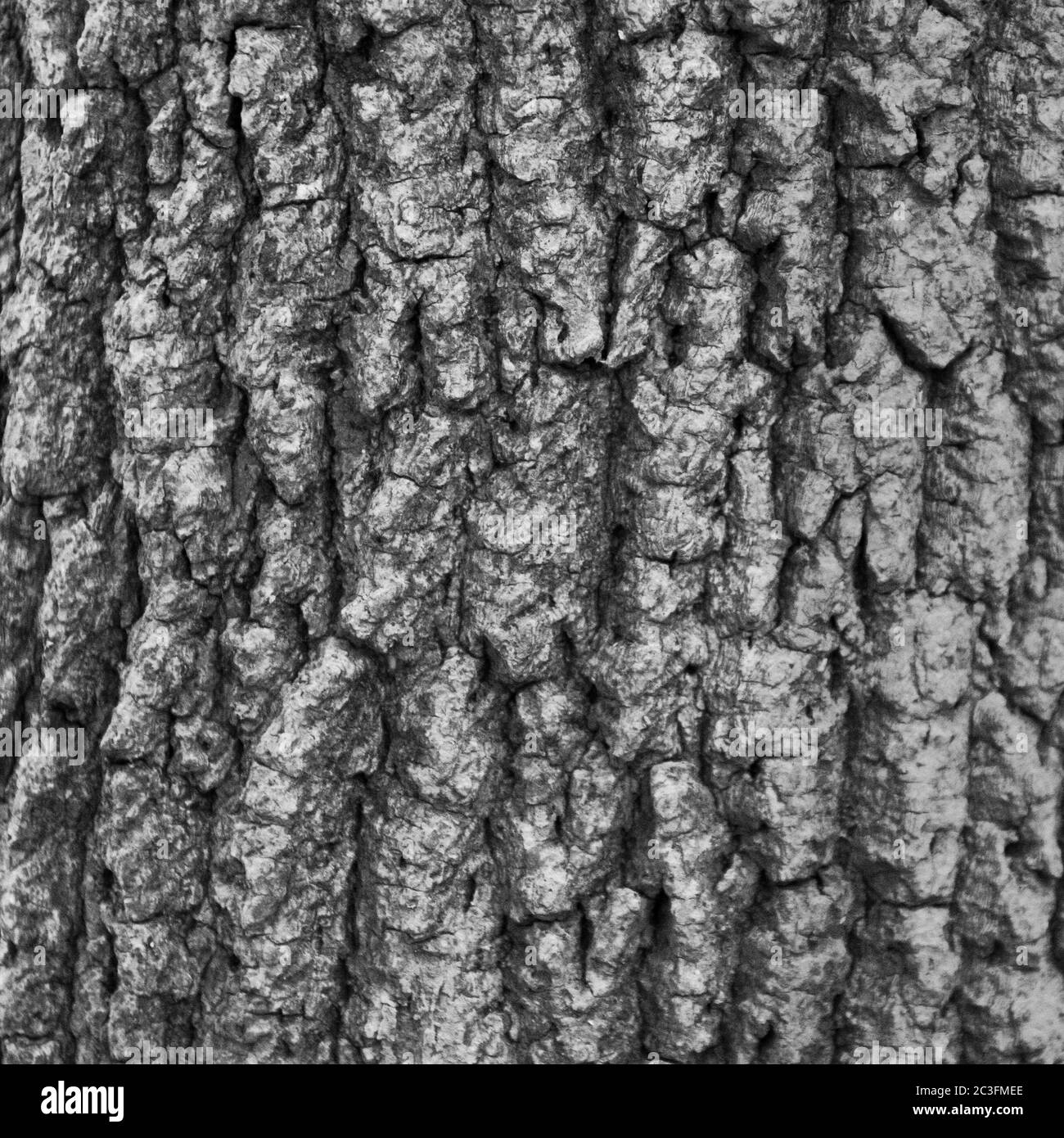 Rugged skin Black and White Stock Photos & Images - Alamy