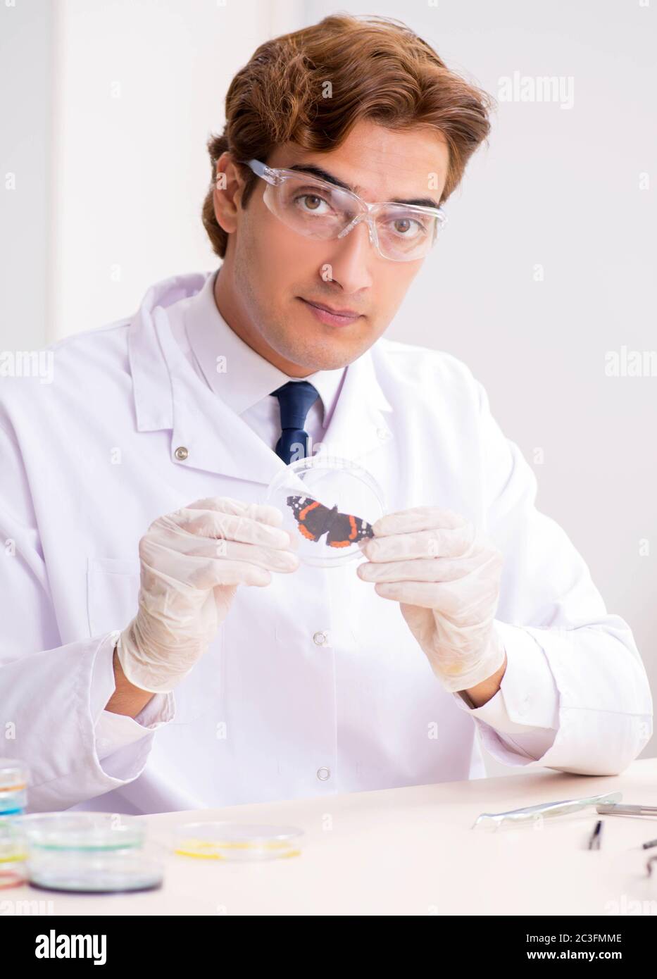 Entomologist microscope hi-res stock photography and images - Alamy
