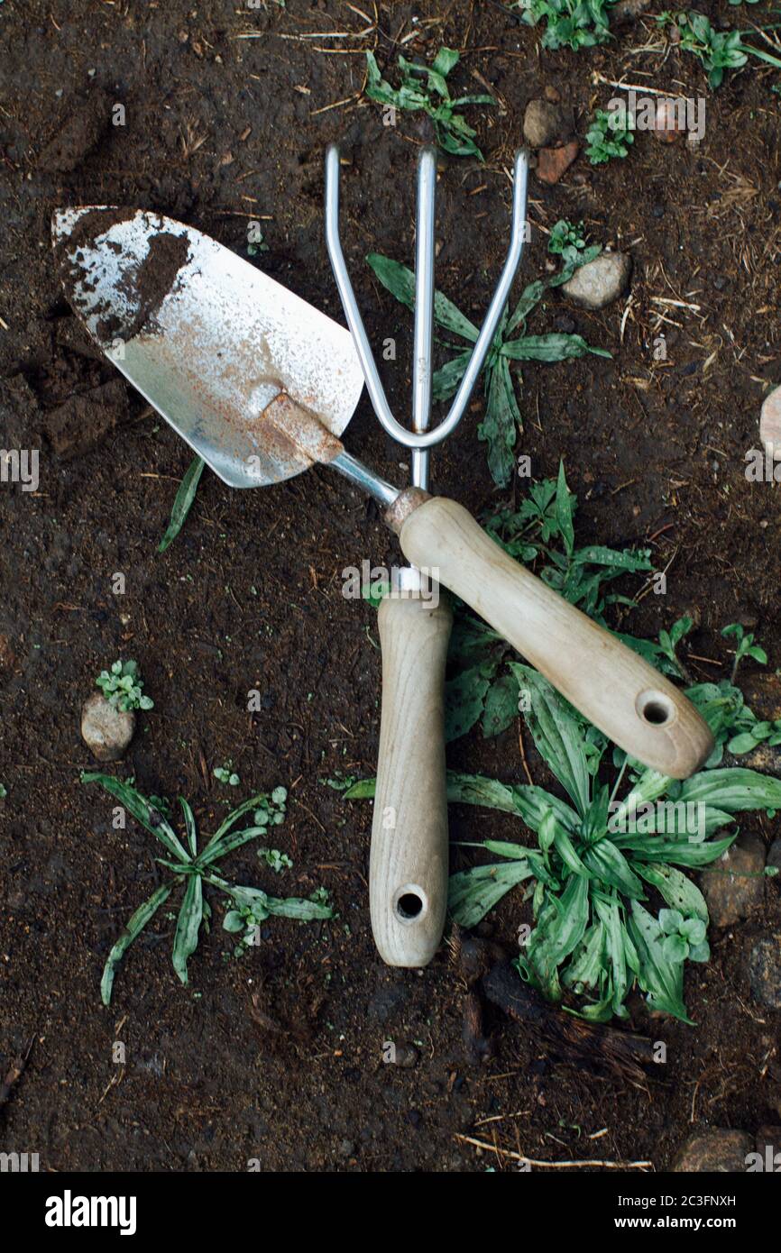 Garden tools placed on soil Stock Photo - Alamy