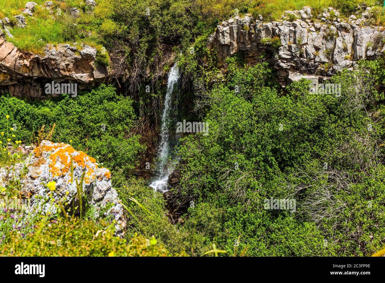 Waterfall in the basalt gorge Stock Photo - Alamy