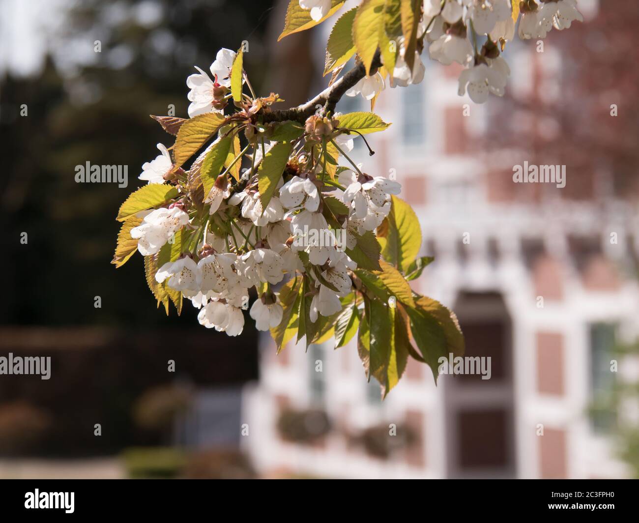 Anytime soon hi-res stock photography and images - Alamy