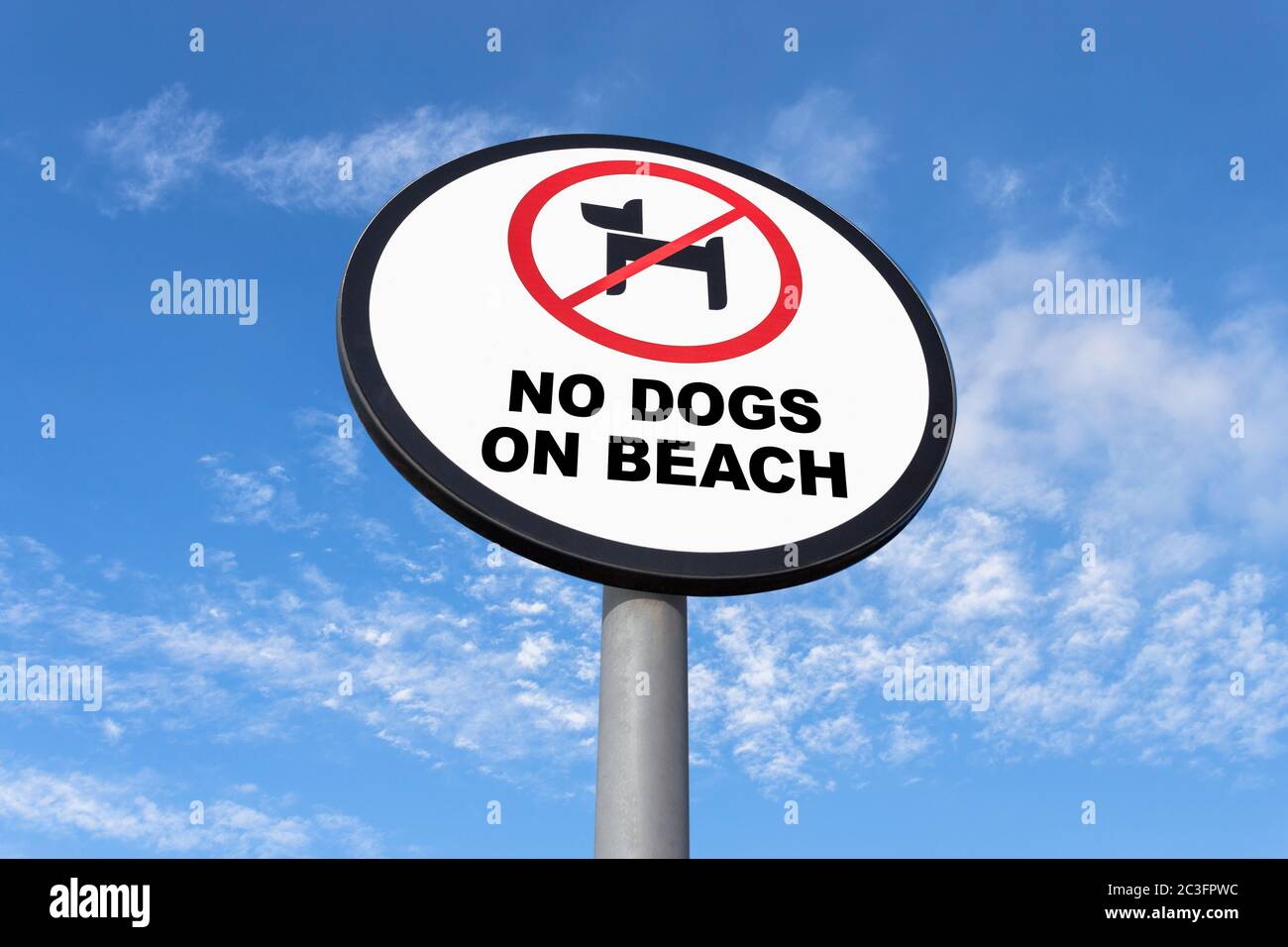 No dogs on beach sign Stock Photo - Alamy