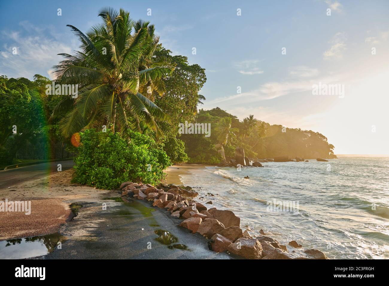 Beach with palm tree and rocks landscape Stock Photo - Alamy