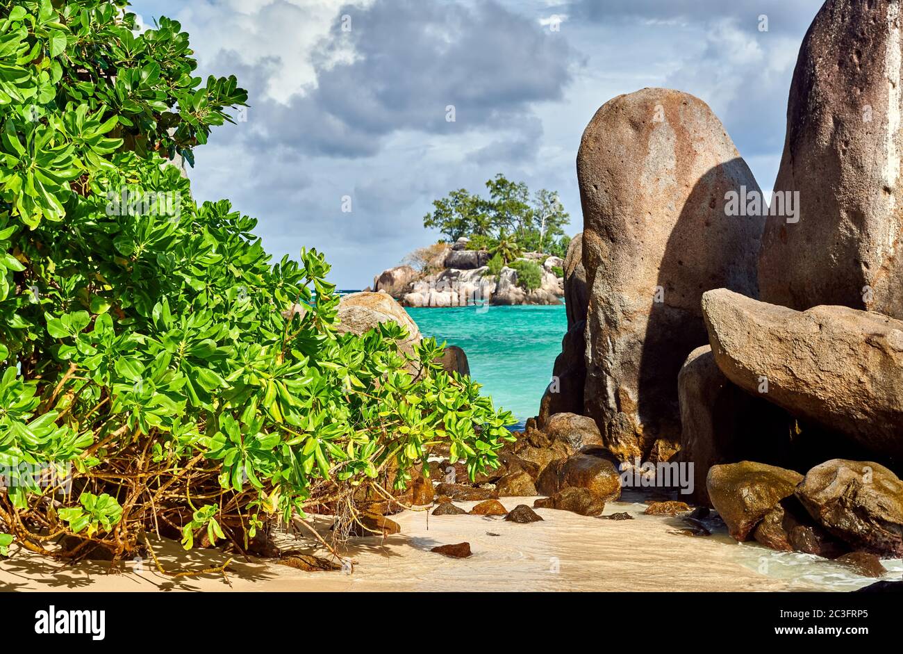 Beach with palm tree and rocks landscape Stock Photo - Alamy