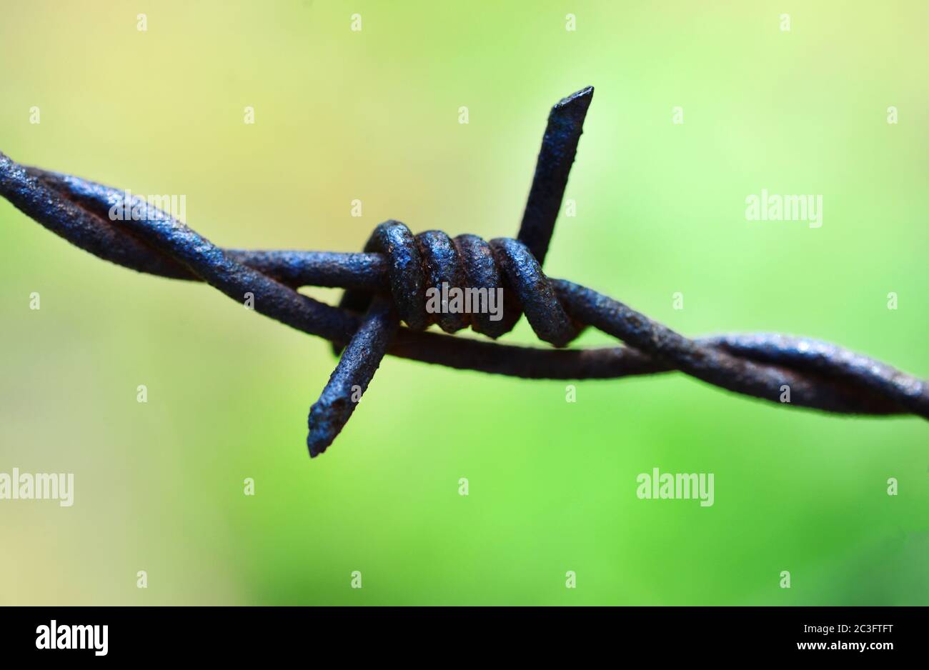 Barbed wire war hi-res stock photography and images - Alamy