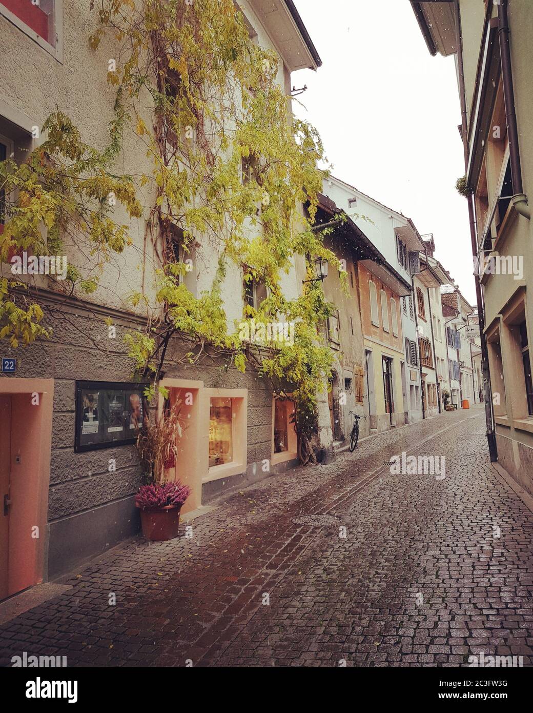 Alley With Plants High Resolution Stock Photography and Images - Alamy
