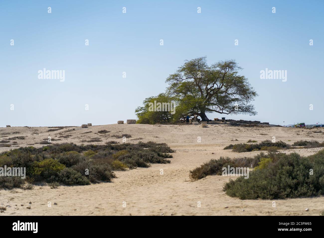 Manama / Bahrain - January 10, 2020: Tourist group visiting The Tree of ...