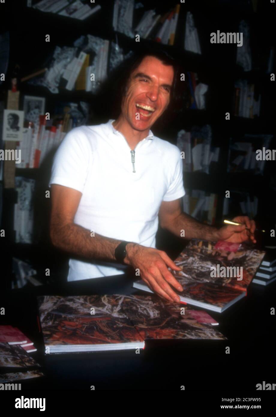 West Hollywood, California, USA 12th October 1995 Singer/musician David ...