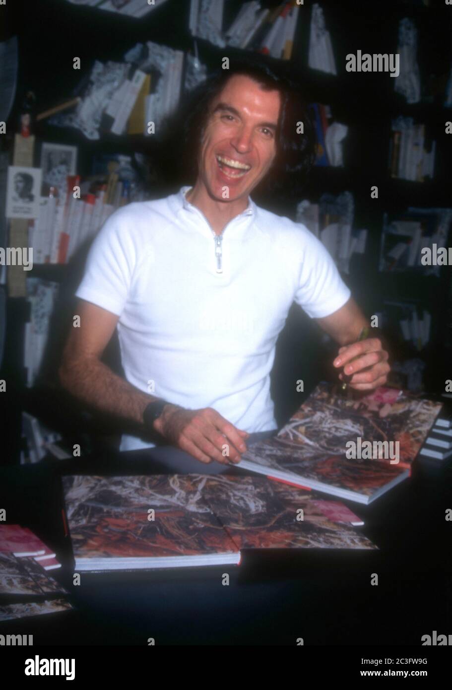 West Hollywood, California, USA 12th October 1995 Singer/musician David ...