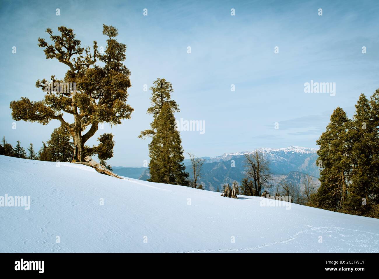 Trekking in winter at snowcaped mountainas Himalaya, Kedarkantha summit ...