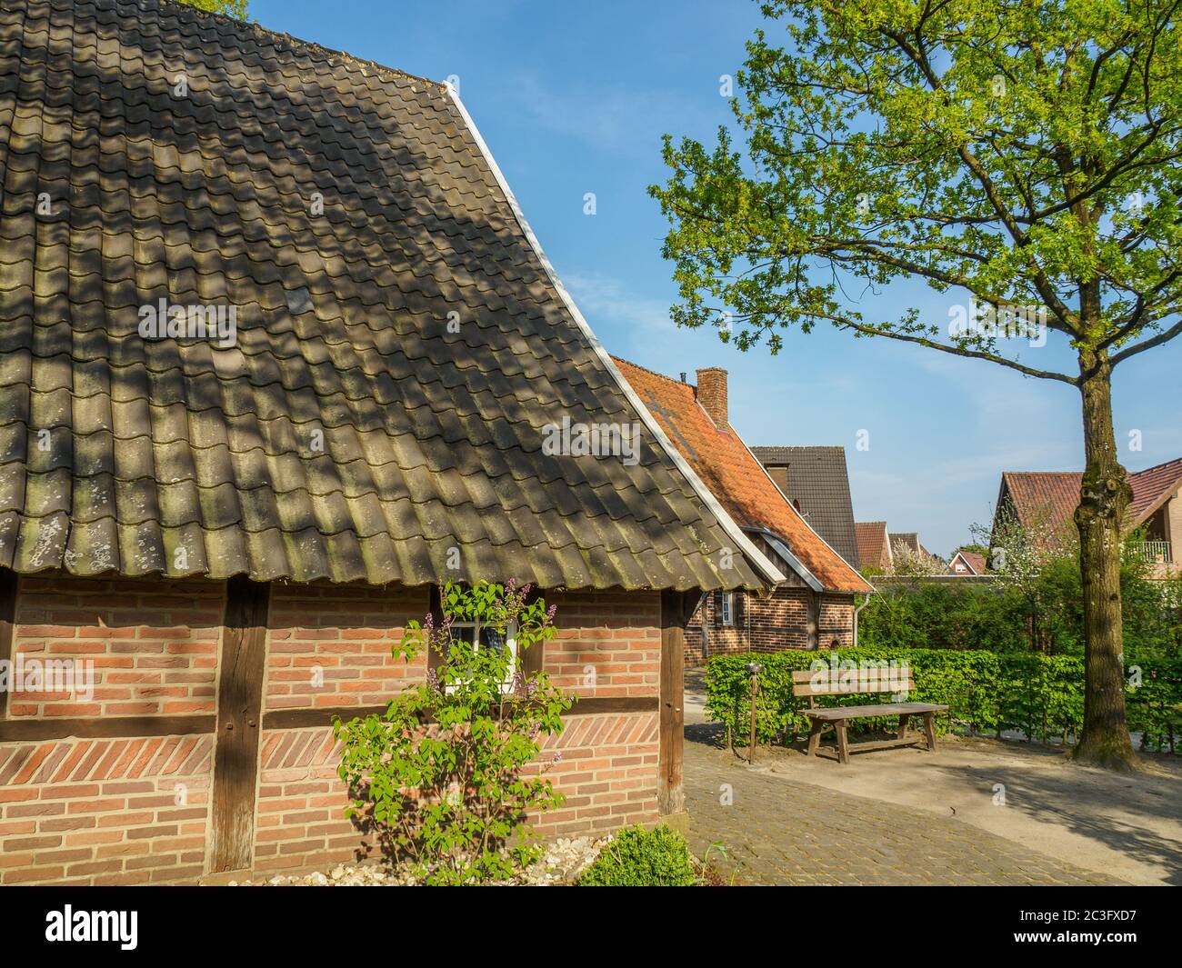 Tulip tree house hi-res stock photography and images - Alamy