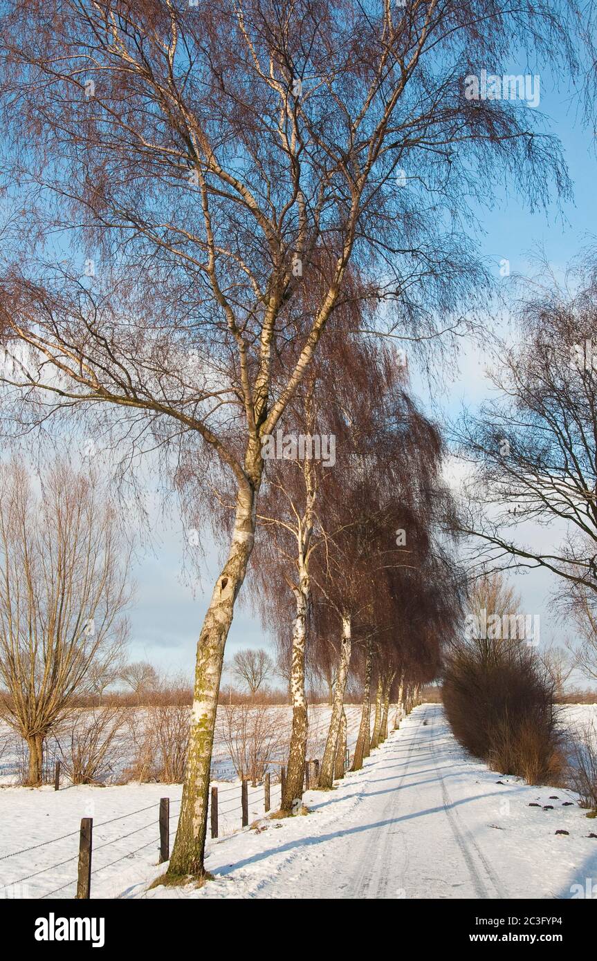 snow in germany Stock Photo - Alamy