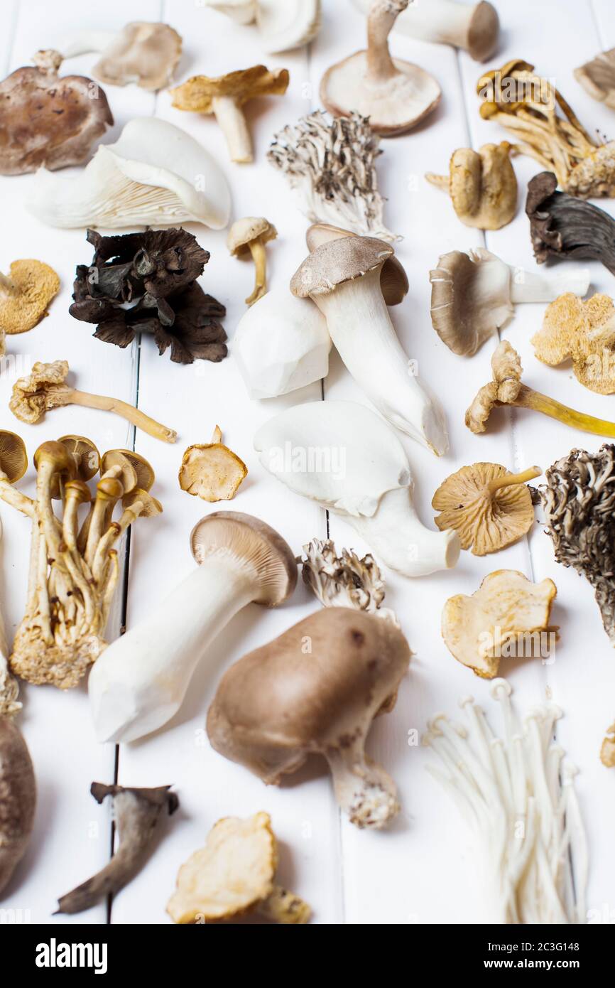 Variety of mushrooms arranged on a white background Stock Photo - Alamy