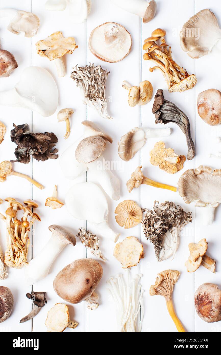 Variety of mushrooms arranged on a white background Stock Photo - Alamy