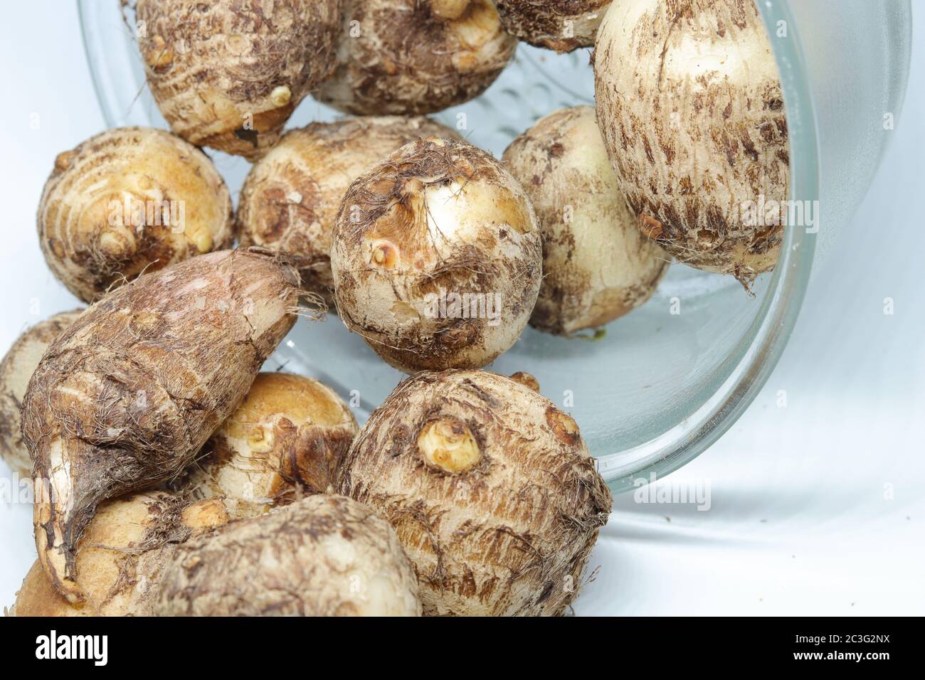 Gabi Vegetable High Resolution Stock Photography and Images - Alamy