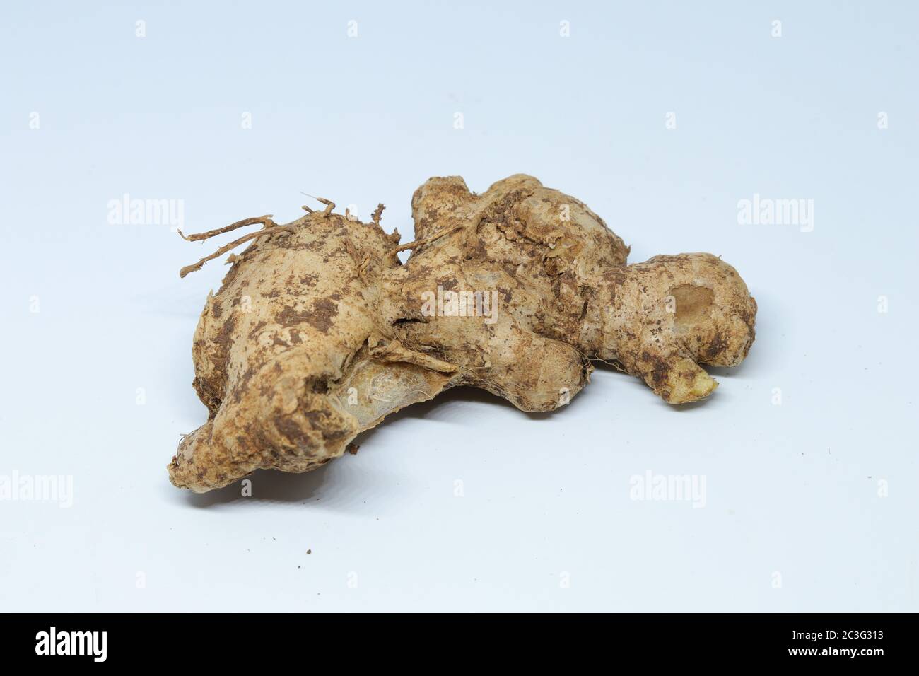 fresh ginger isolated on white background Stock Photo - Alamy