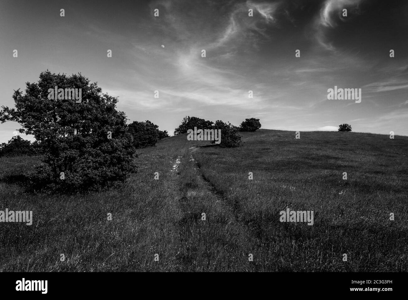 Path over an hill with,tree and deep sky with clouds Stock Photo - Alamy