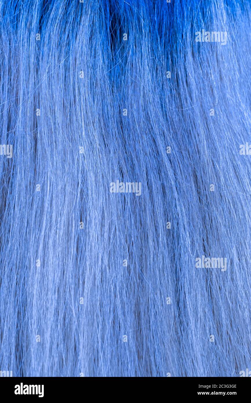 Blue Hair Texture, close view Stock Photo - Alamy