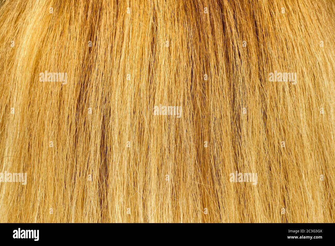 Blond Hair Texture, close view Stock Photo - Alamy