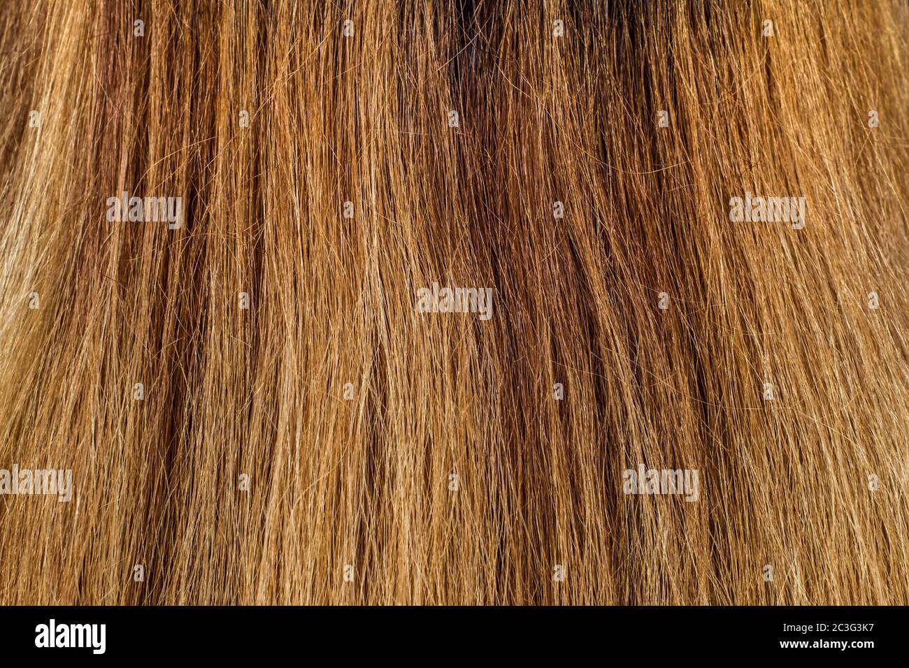 Blond Hair Texture, close view Stock Photo - Alamy