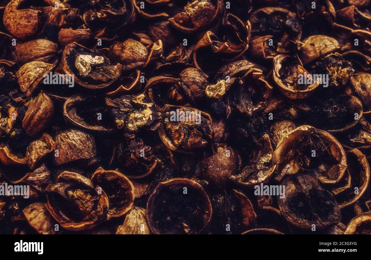 Cracked rotten nuts infected with mold, top view Stock Photo - Alamy