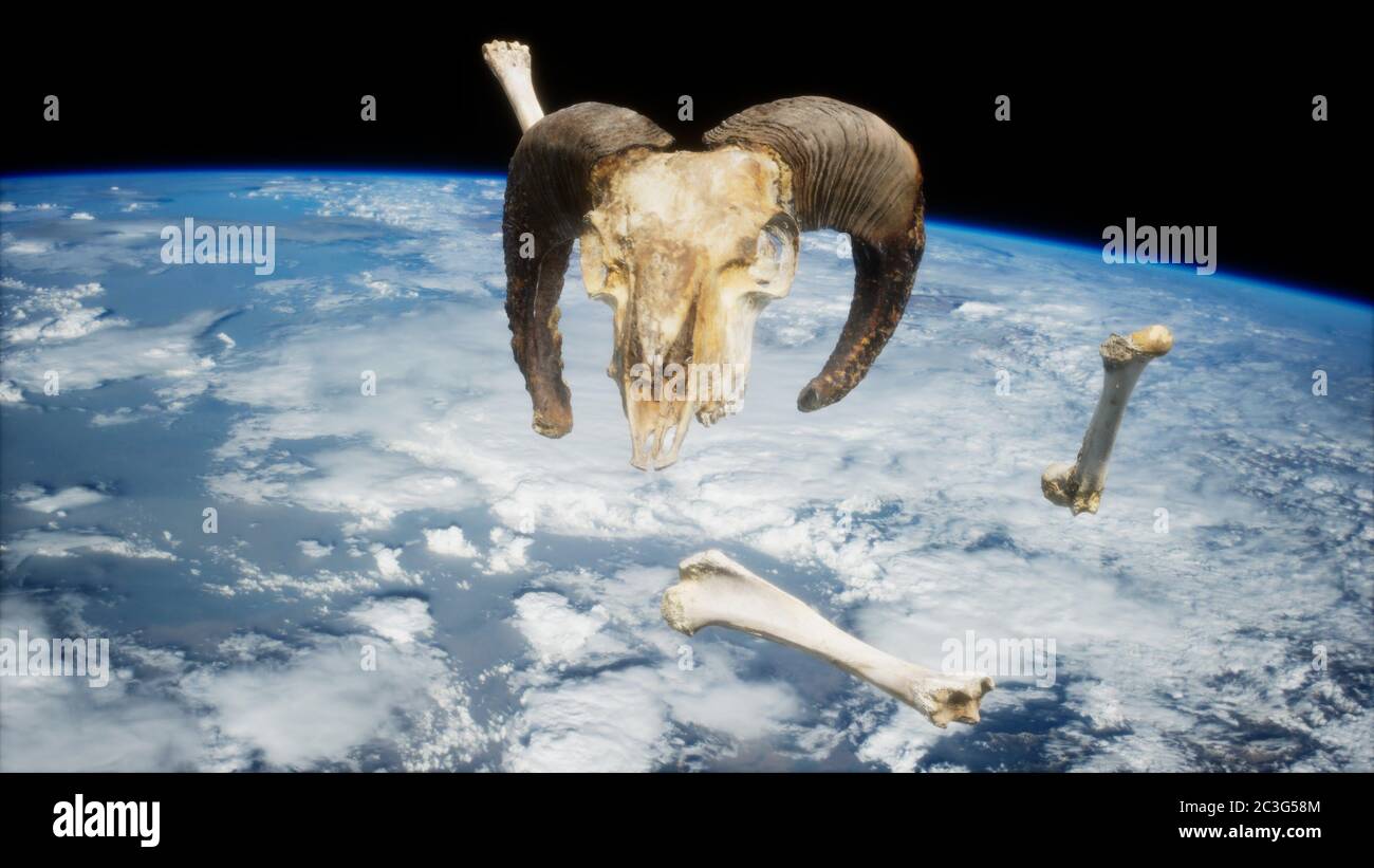 Orbit anatomy hi-res stock photography and images - Alamy
