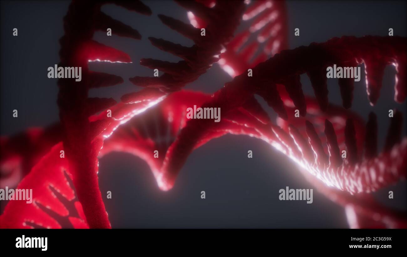 loop double helical structure of dna strand close-up animation Stock ...