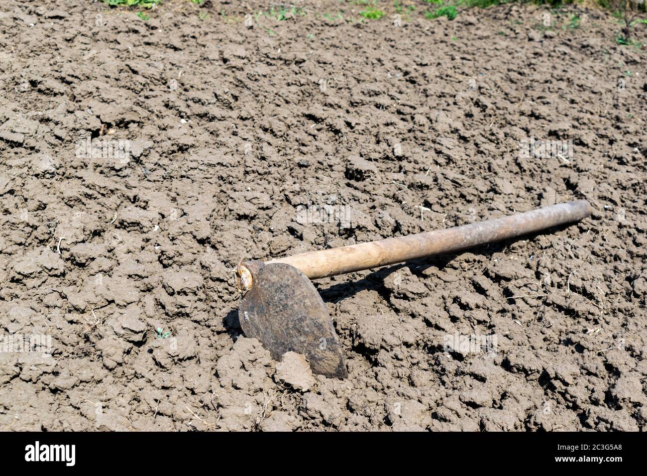 Gardening hoe on the cultivated soil agriculture Stock Photo - Alamy