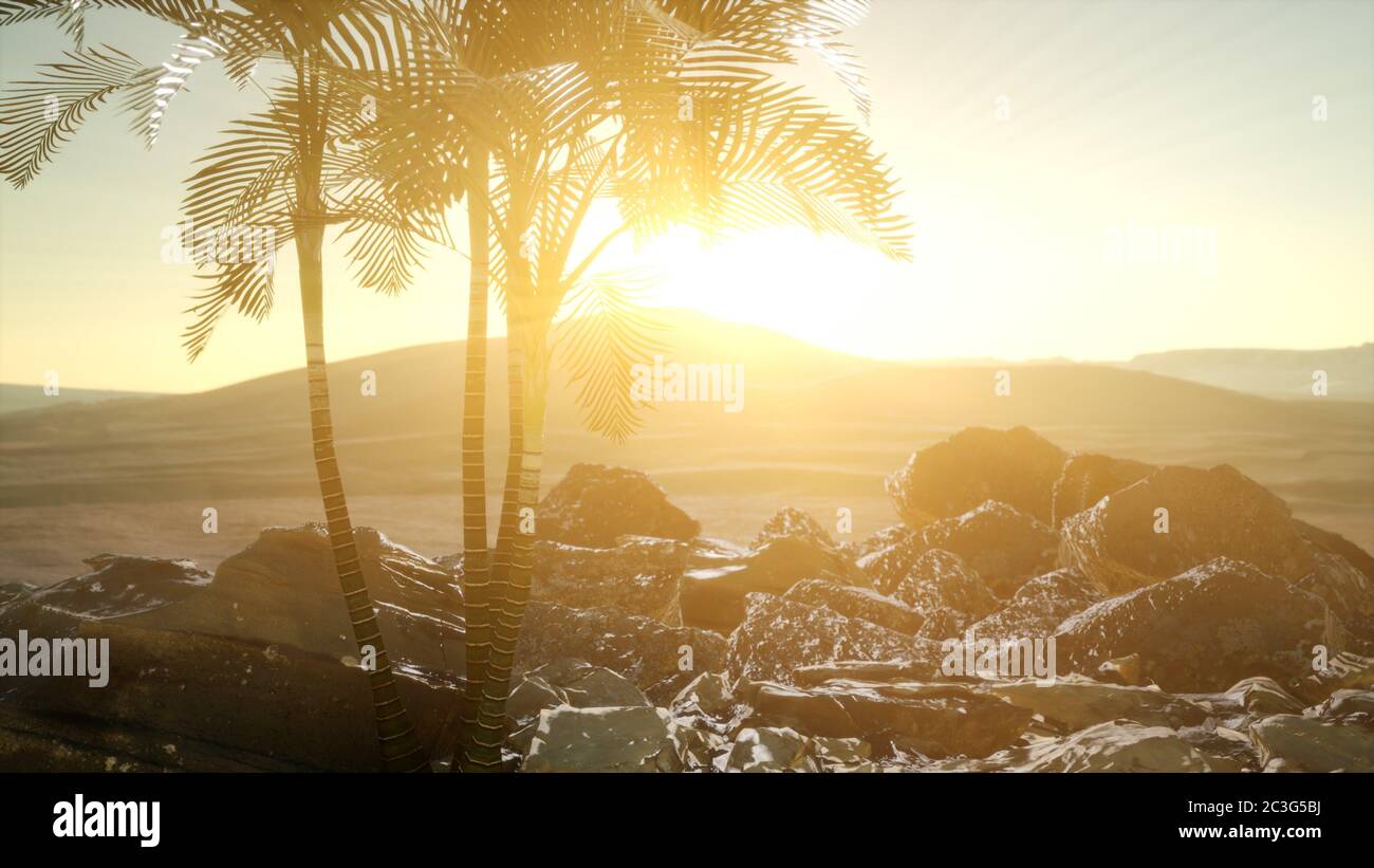 Dunes sunset in desert libya hi-res stock photography and images - Alamy