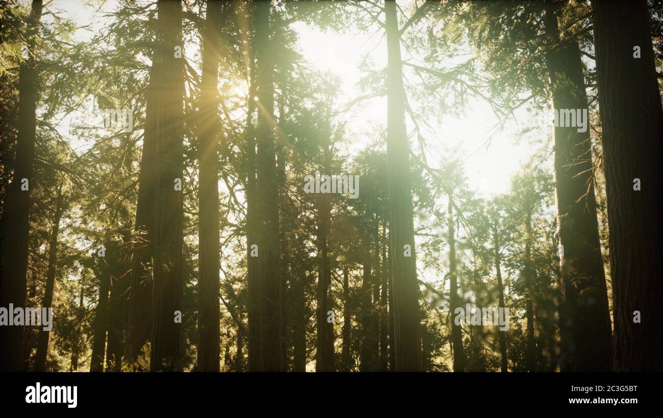 Aerial hyperlapse hi-res stock photography and images - Alamy