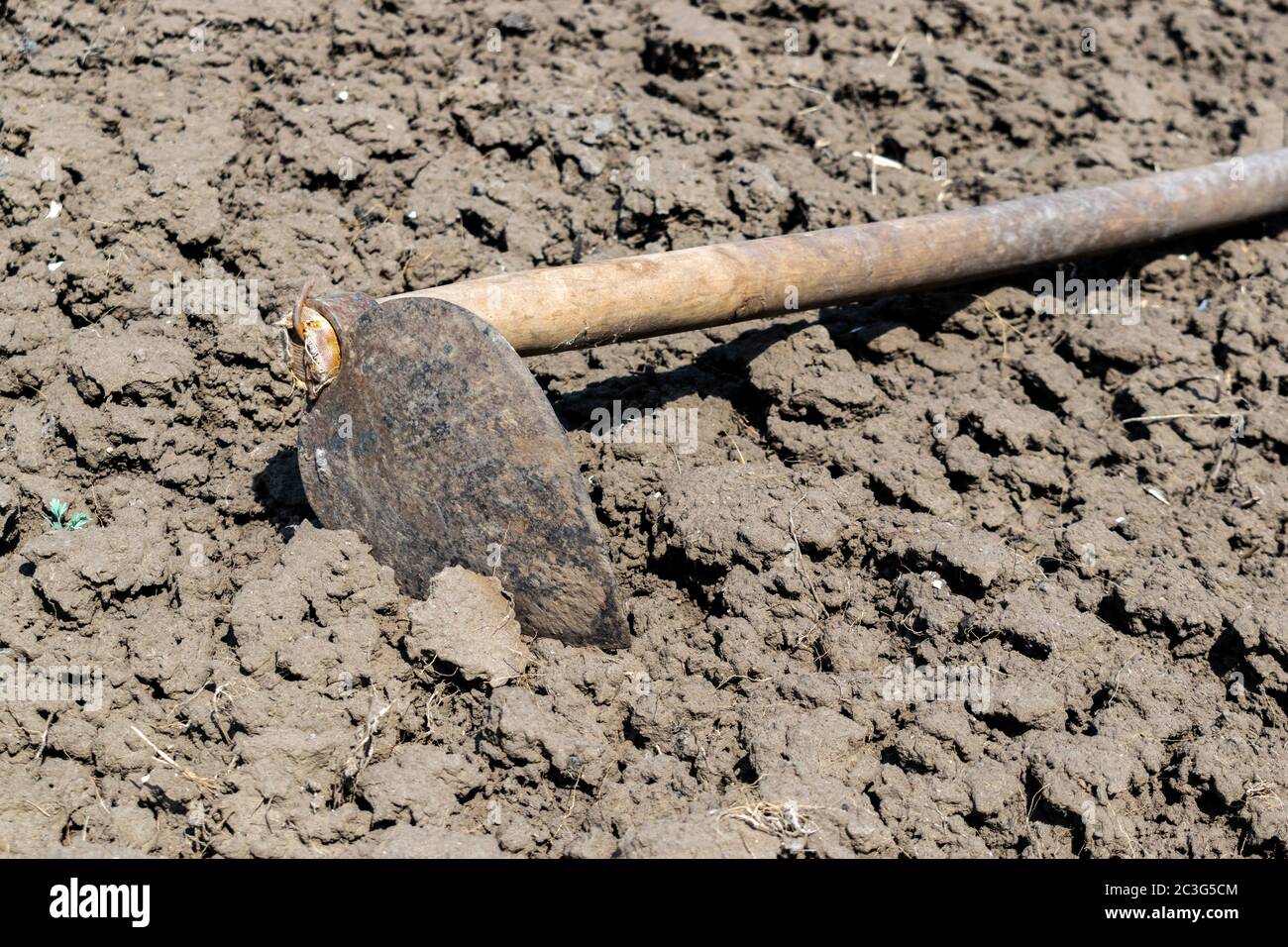 Gardening hoe on the cultivated soil closeup Stock Photo - Alamy