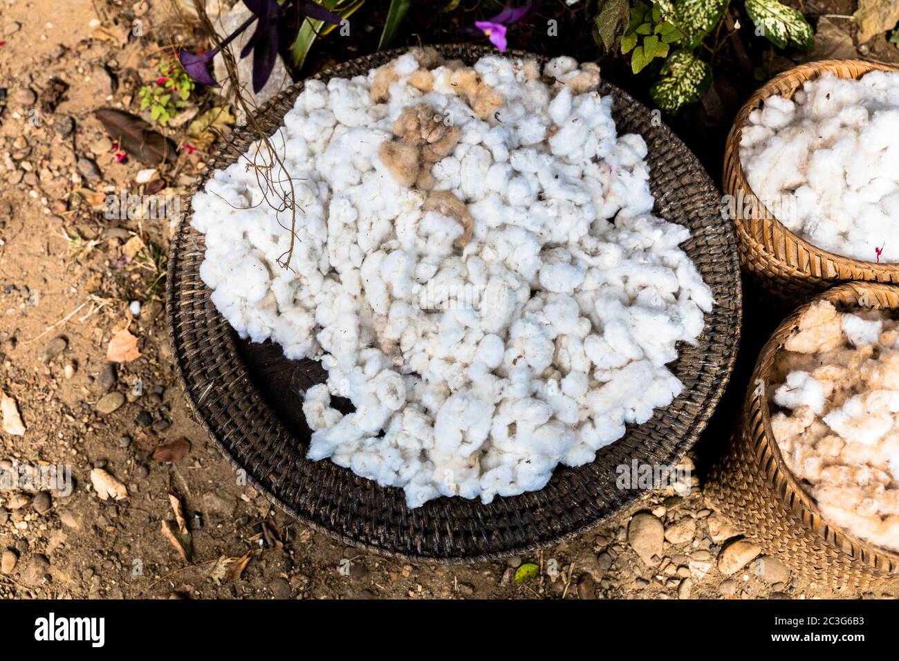 sheep's wool flakes in bucket Stock Photo - Alamy
