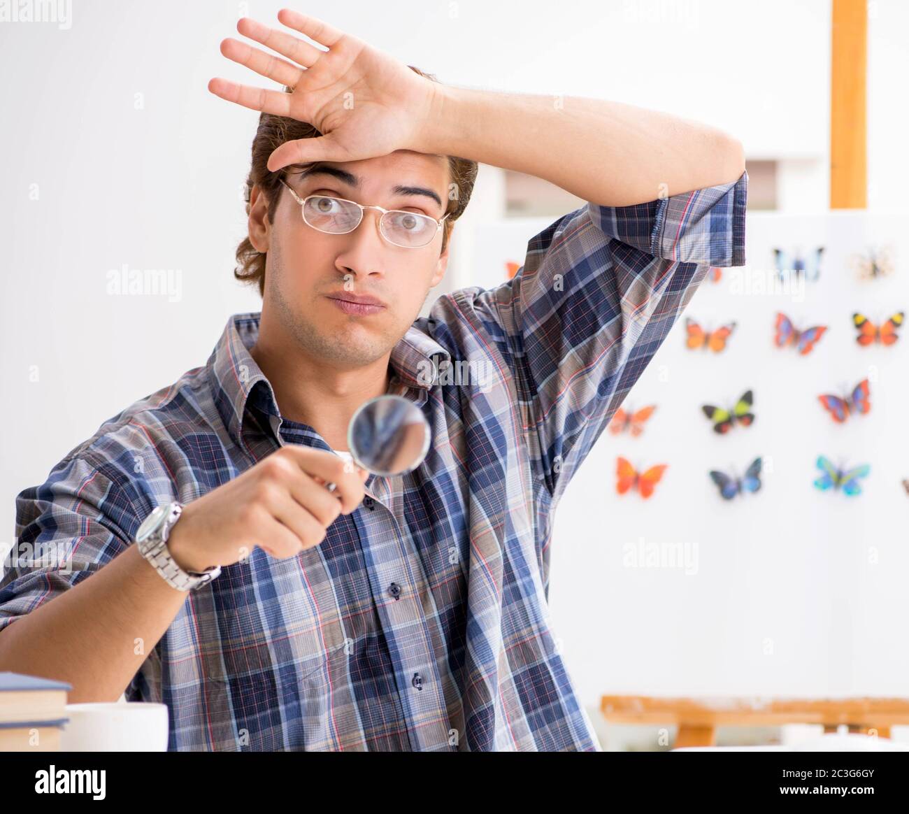 Student entomologist studying new species of butterflies Stock Photo ...