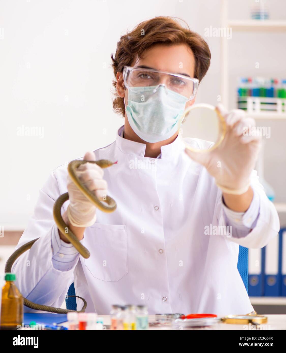 Male scientist extracting poison from snake for drug synthesis Stock ...