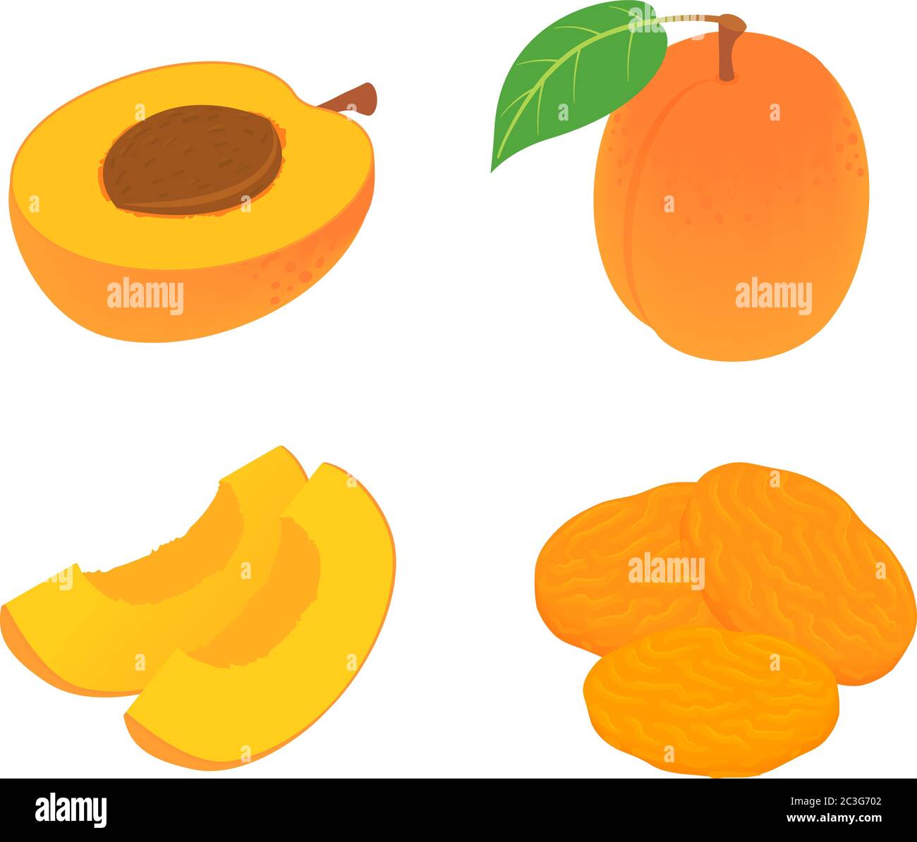 Apricot icons set. Isometric set of apricot vector icons for web design ...