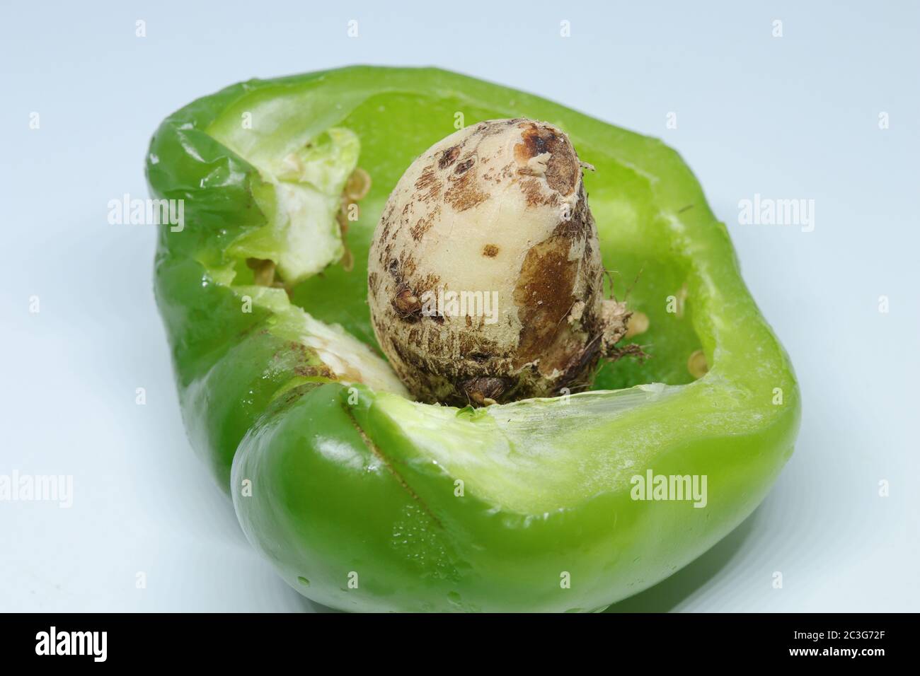 slice of green bell pepper or capsicum isolated on white background ...