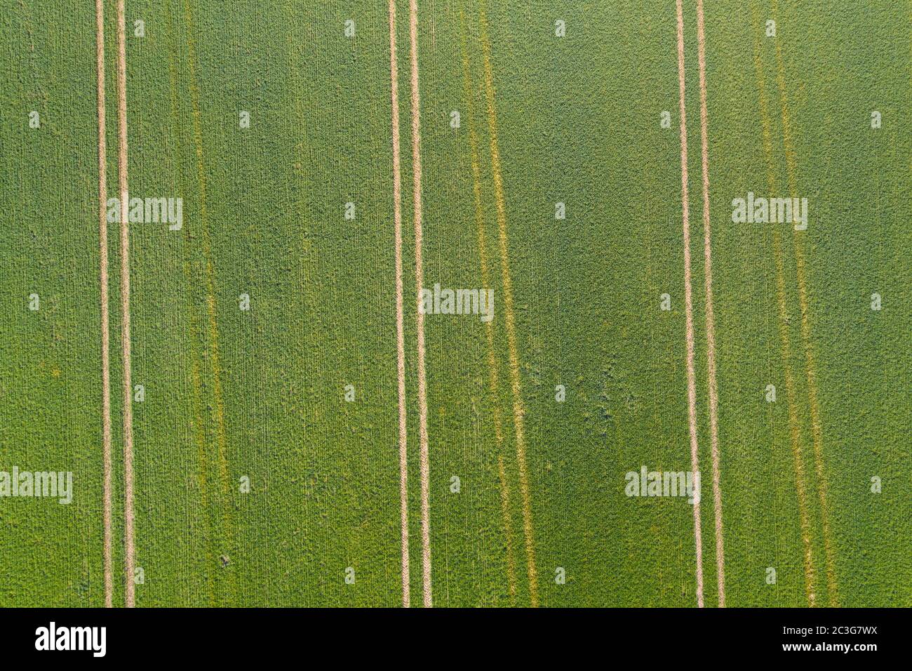 Field tractor tracks hi-res stock photography and images - Alamy