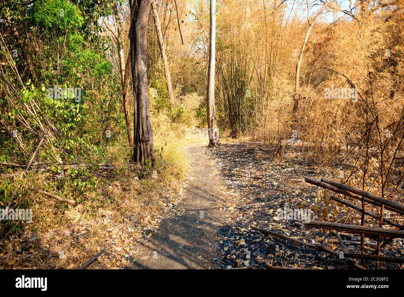 Dry land burnt destroyed fire hi-res stock photography and images - Alamy
