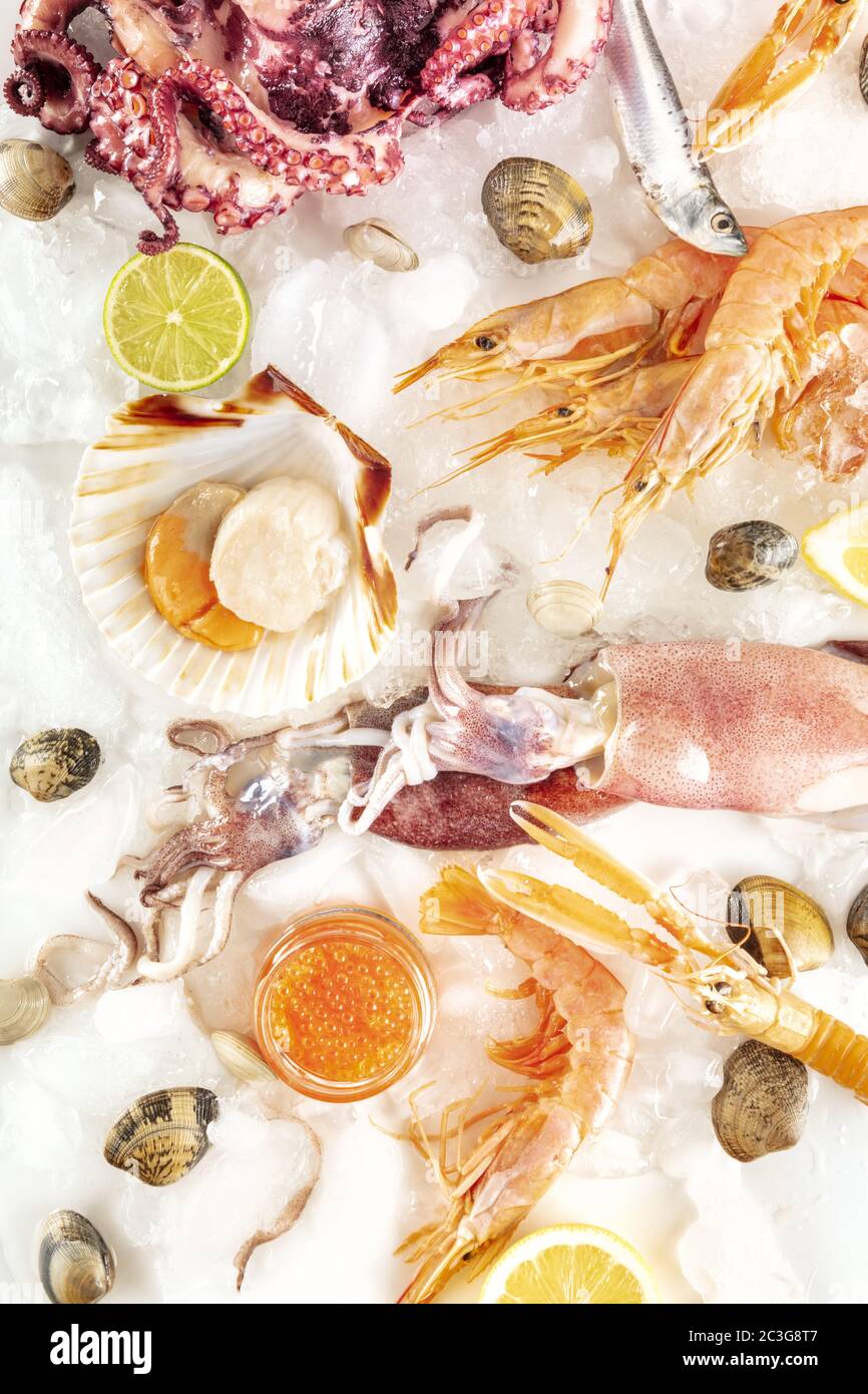 Seafood assortment on a white background. Various fresh produce, shot ...