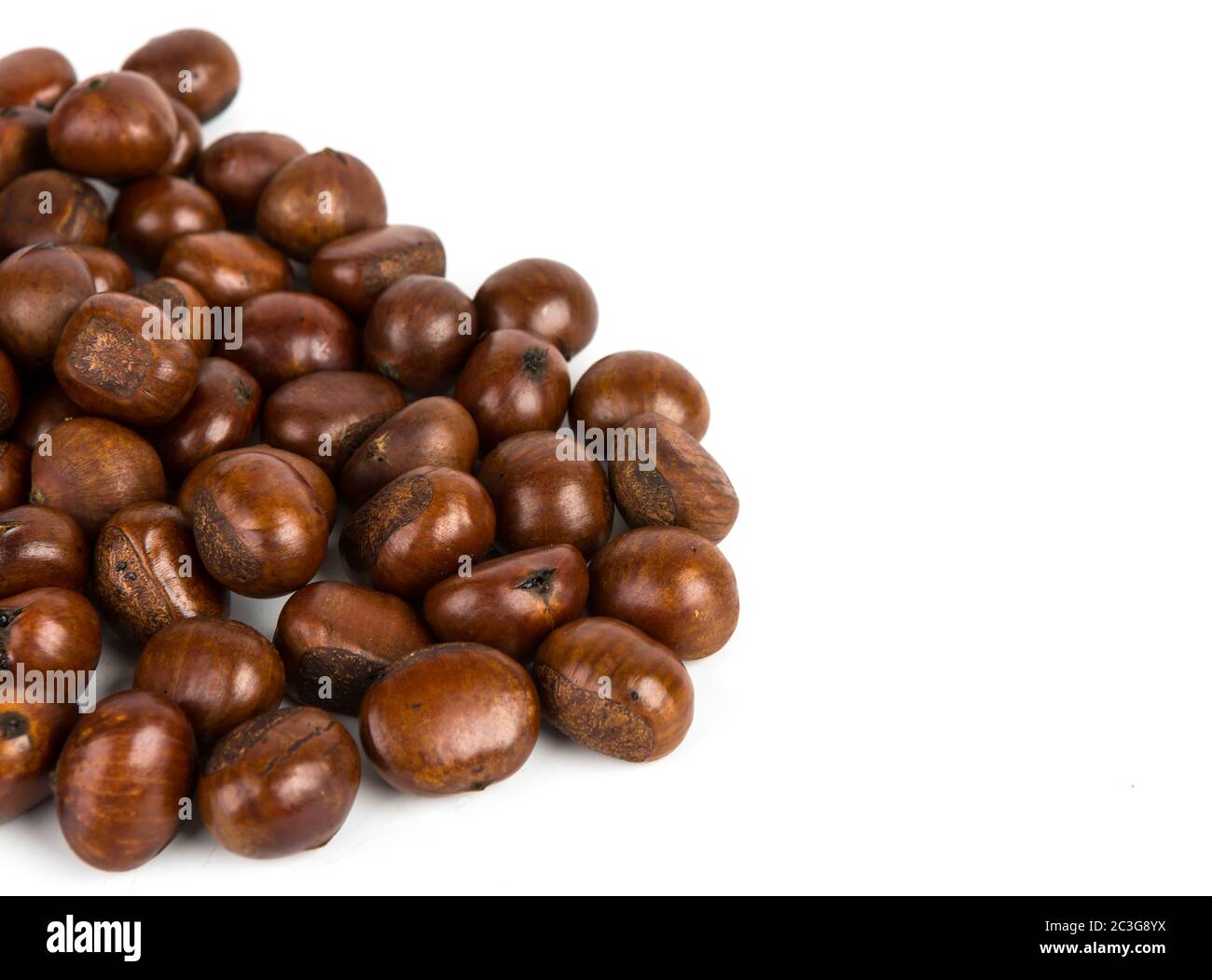 Chestnut on white background Stock Photo - Alamy
