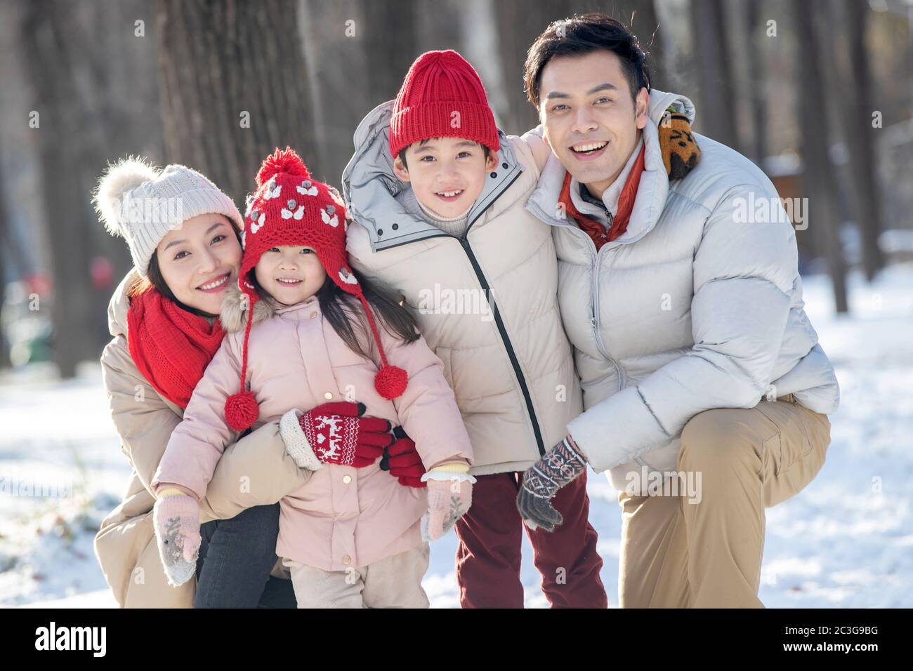 Happy family playing in the snow Stock Photo - Alamy