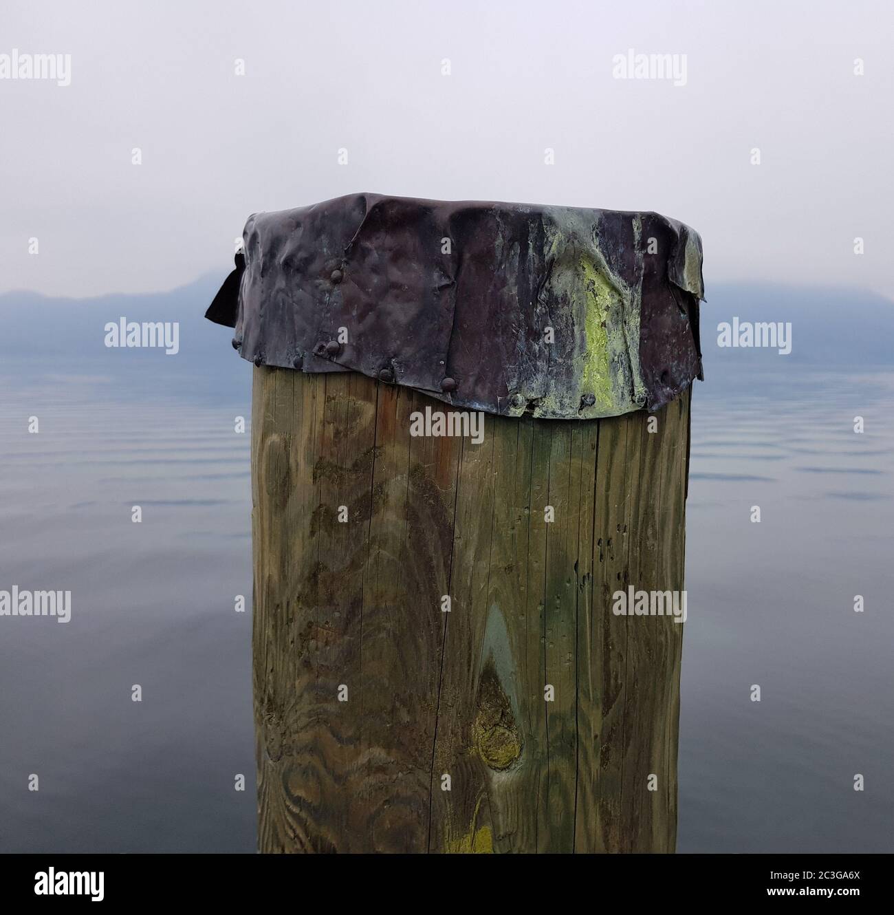 Bollar hi-res stock photography and images - Alamy