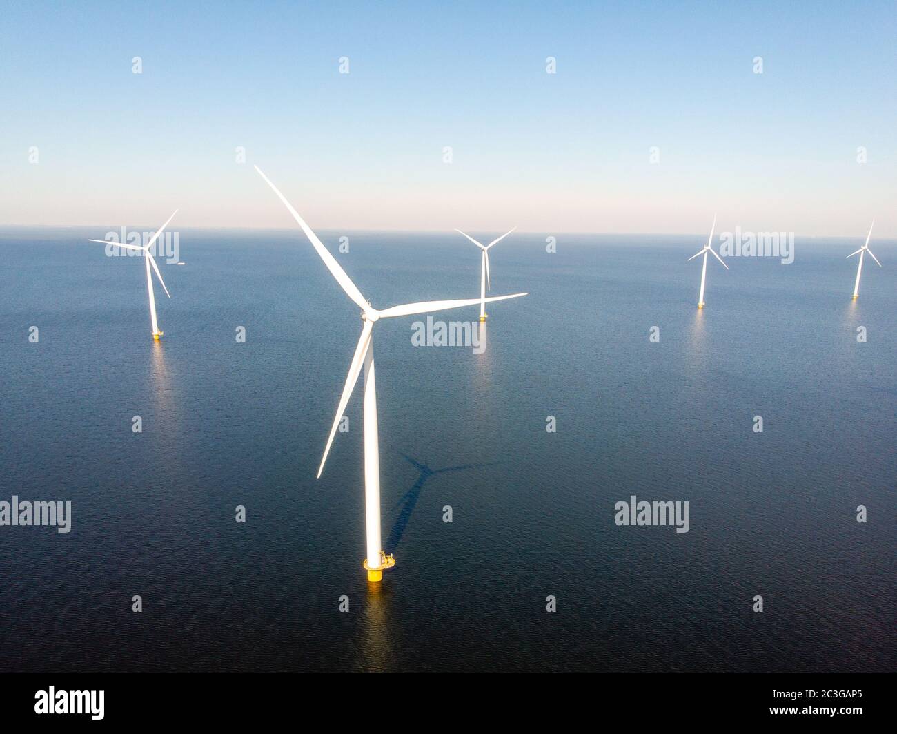 Tulip farm windmill netherlands hi-res stock photography and images - Alamy