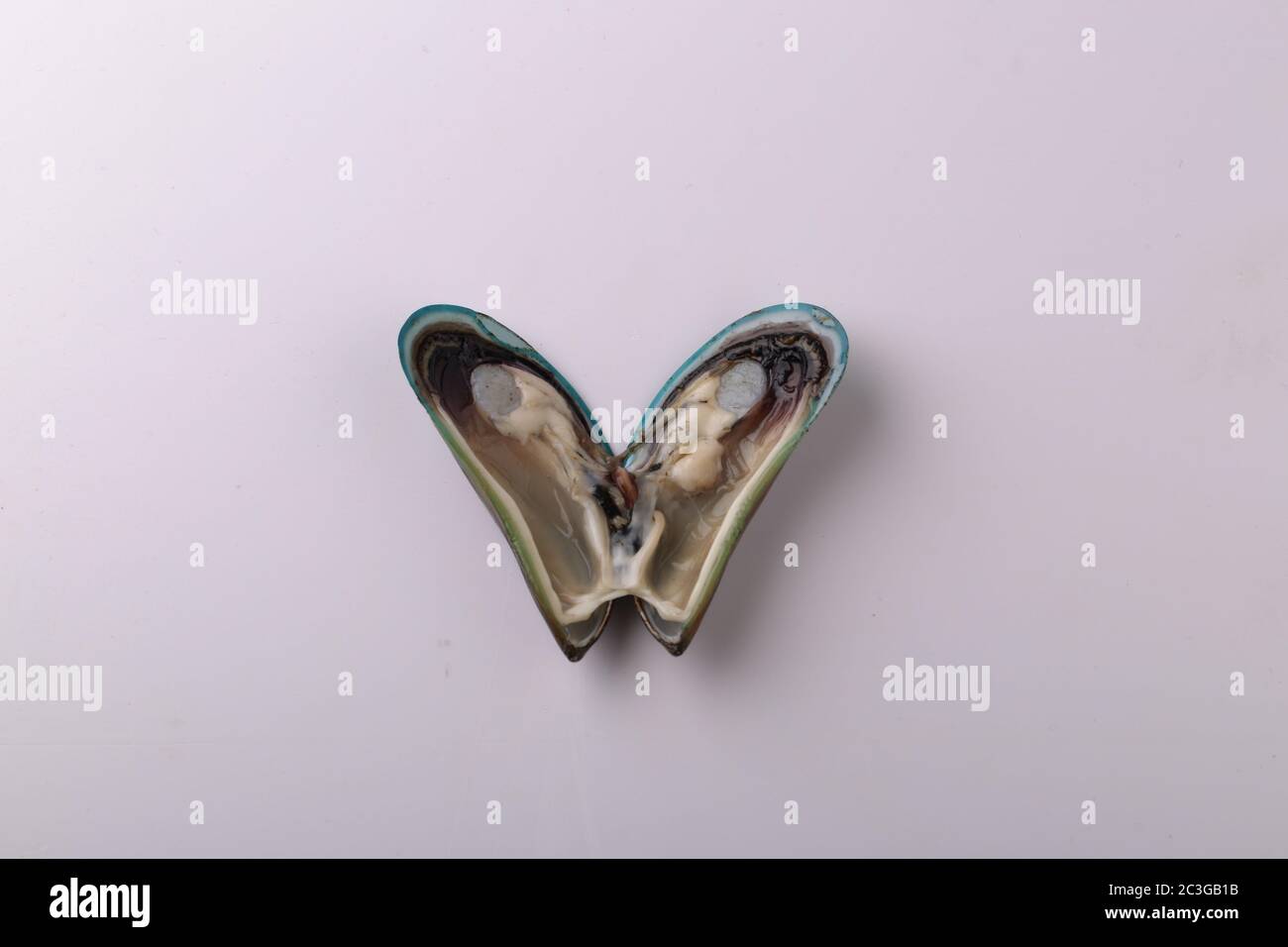 Kerala raw Mussels,kerala raw shell fishes arranged in a white plate ...