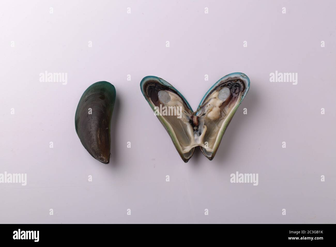 Kerala raw Mussels,kerala raw shell fishes arranged in a white plate ...